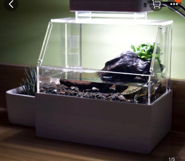 Mini riparium/ terrarium/ aquarium, Pet Supplies, For Small Animals ...