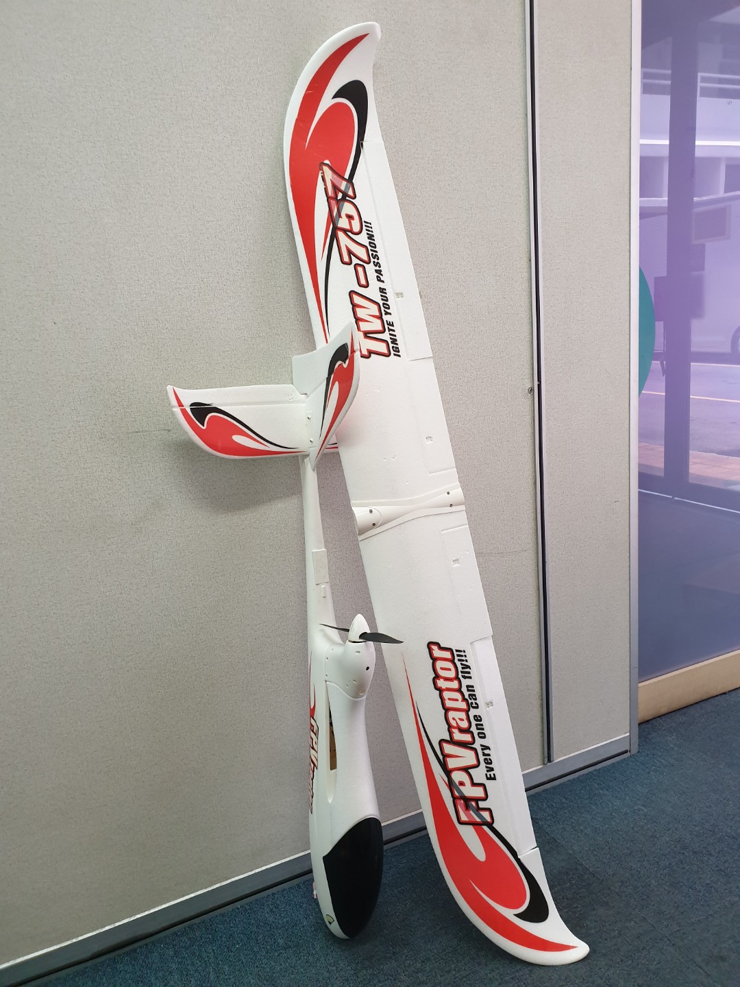 FPV raptor RC plane, Everything Else on Carousell