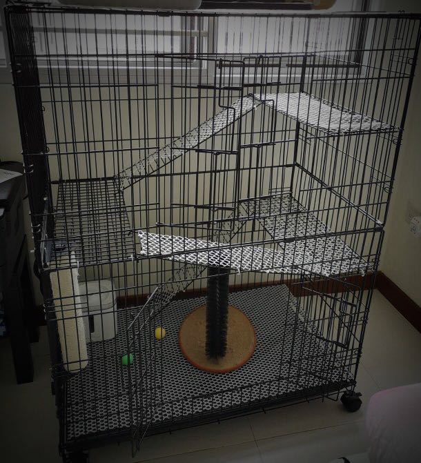 Multi-level Cat Cage, Pet Supplies, Homes & Other Pet Accessories on ...