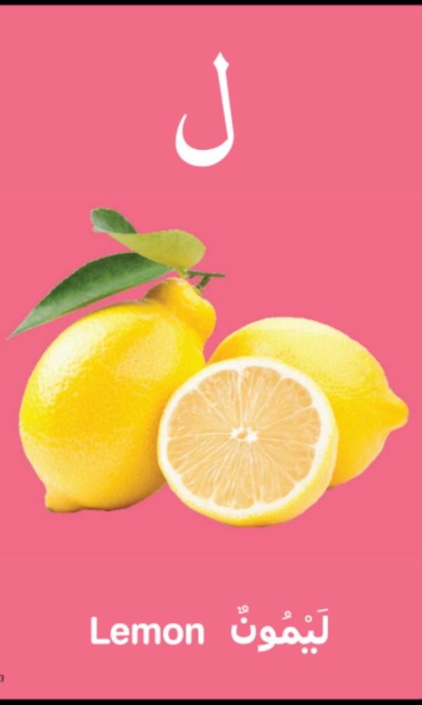 My First Arabic Game Flashcards, Hobbies & Toys, Books & Magazines ...