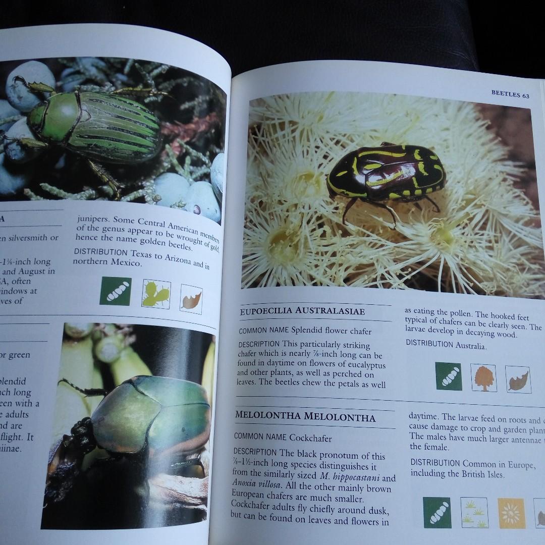 Various books for children, educational, bugs, insects, science, plants ...