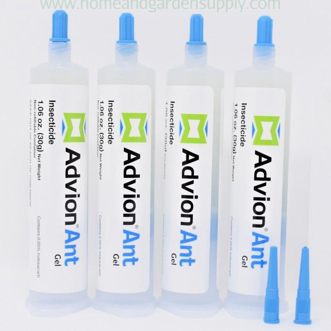 Advion Ant Gel Bait, TV & Home Appliances, Kitchen Appliances, Water ...