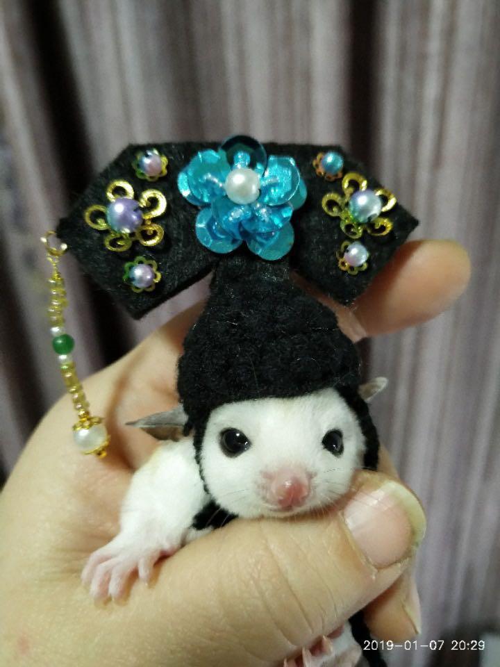 Handmade traditional Chinese costume sugar glider hat, Pet Supplies ...