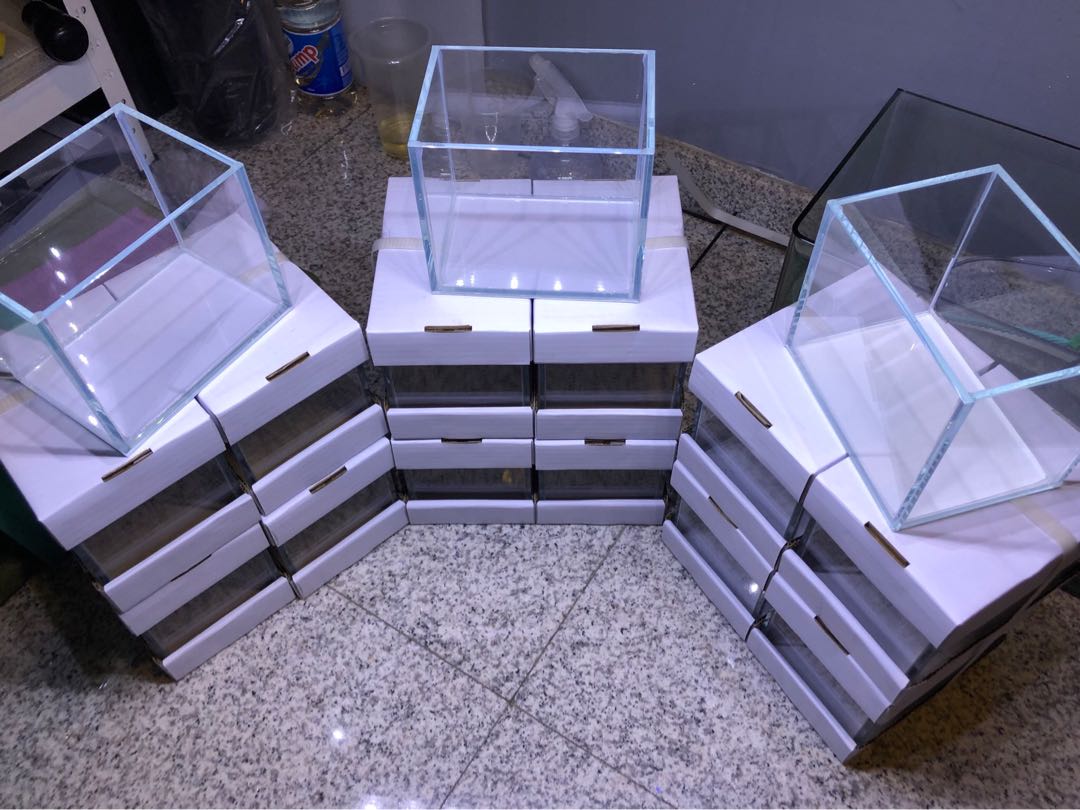 Crystal tank, Pet Supplies, Homes & Other Pet Accessories on Carousell