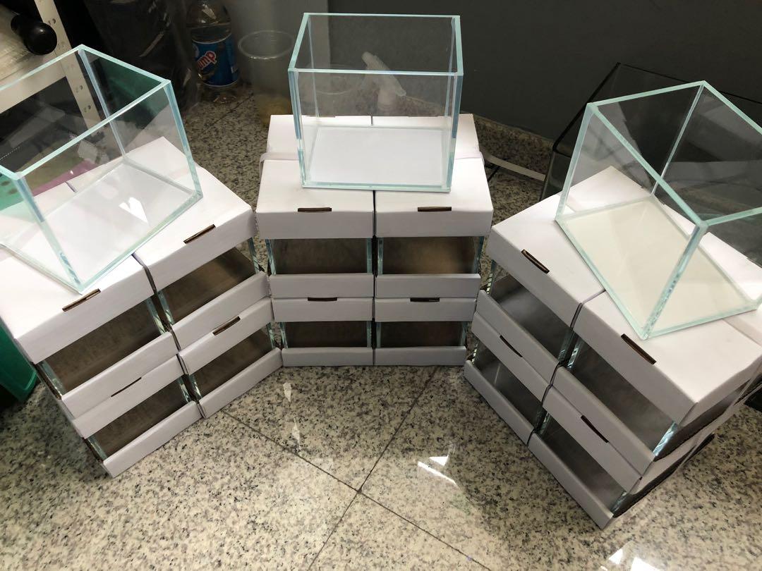 Crystal tank, Pet Supplies, Homes & Other Pet Accessories on Carousell