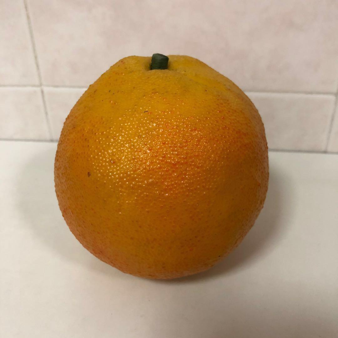 Plastic Orange Models, Everything Else on Carousell