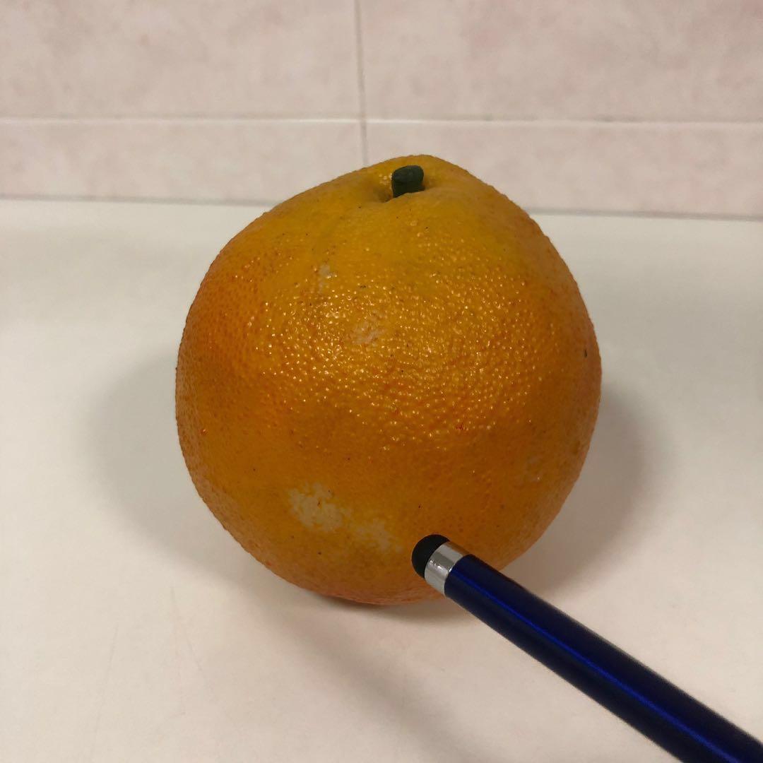 Plastic Orange Models, Everything Else on Carousell