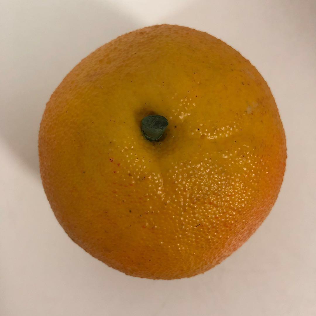 Plastic Orange Models, Everything Else on Carousell
