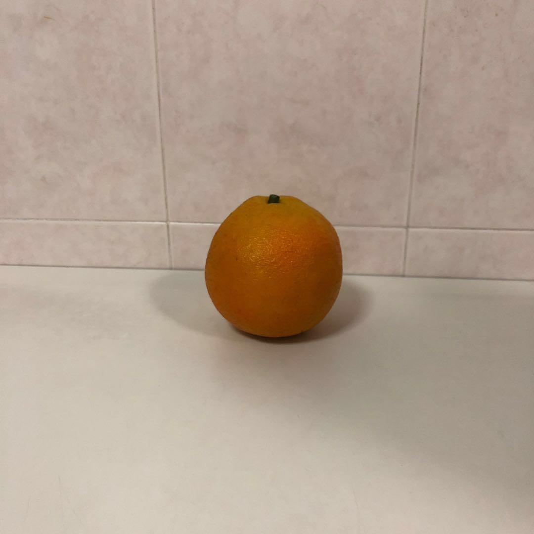 Plastic Orange Models, Everything Else on Carousell