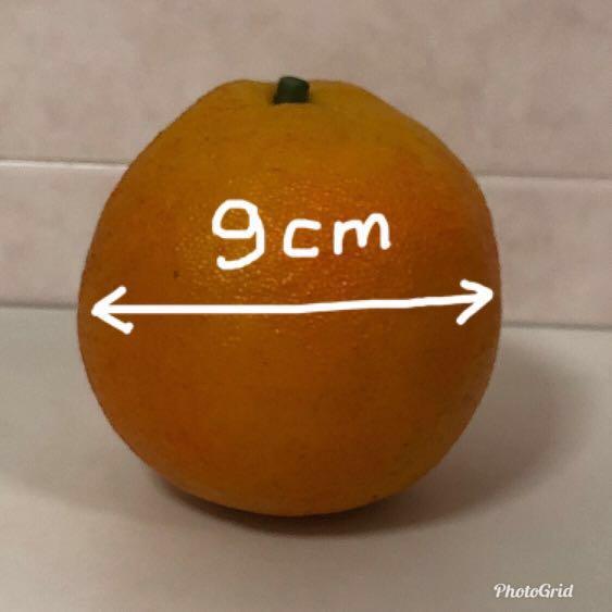Plastic Orange Models, Everything Else on Carousell