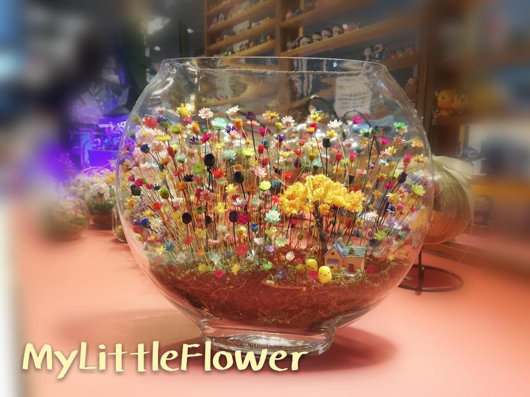 Frozen Flower Terrarium Singapore | Best Flower Site