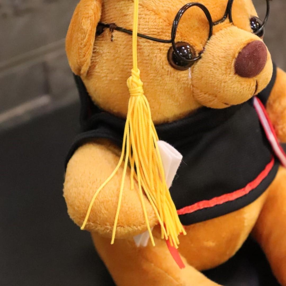 •Graduation Bear•Free collection at NTU . Convocation , Hobbies & Toys ...