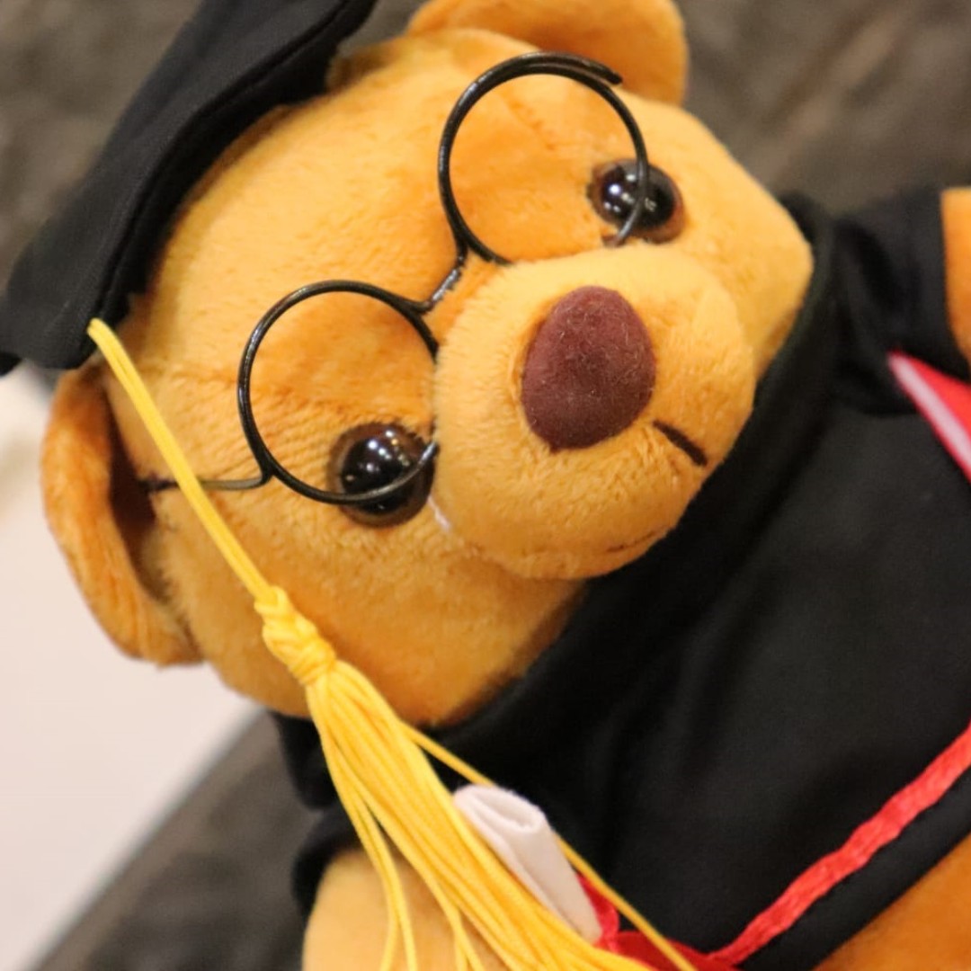 •Graduation Bear•Free collection at NTU . Convocation , Hobbies & Toys ...