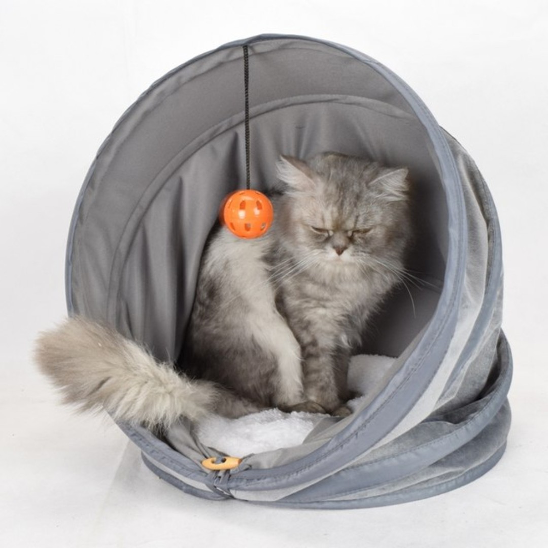 Foldable Cat Cave Bed, Pet Supplies, Homes & Other Pet Accessories on ...