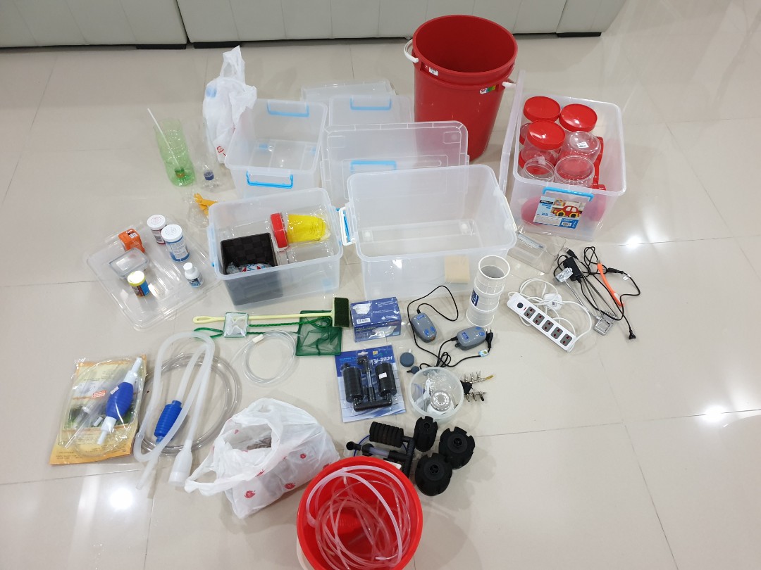 Betta breeding kit, Pet Supplies, Homes & Other Pet Accessories on ...