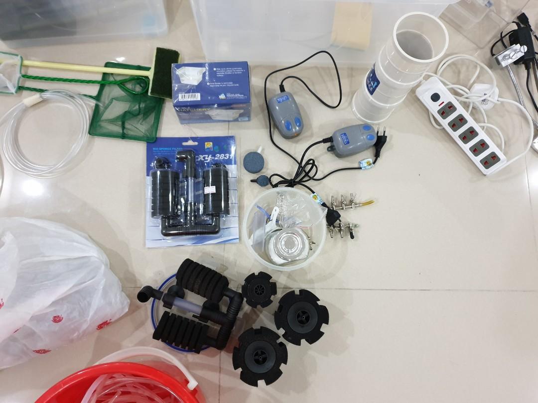 Betta breeding kit, Pet Supplies, Homes & Other Pet Accessories on ...