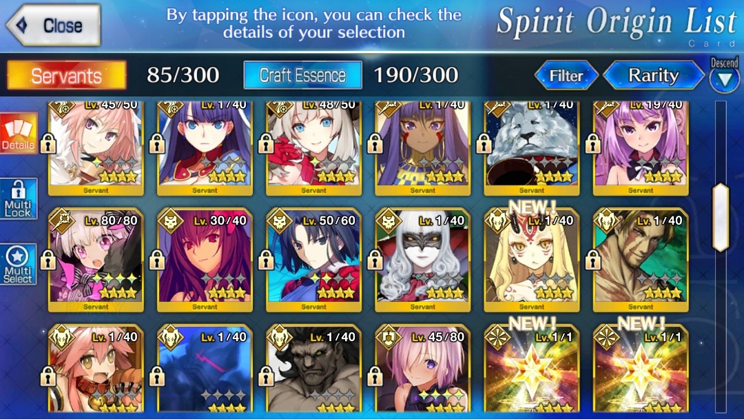 Fate Grand Order(FGO NA) account 15 ssr, Video Gaming, Gaming ...