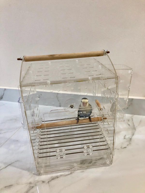 Acrylic carrier., Pet Supplies, Homes & Other Pet Accessories on Carousell