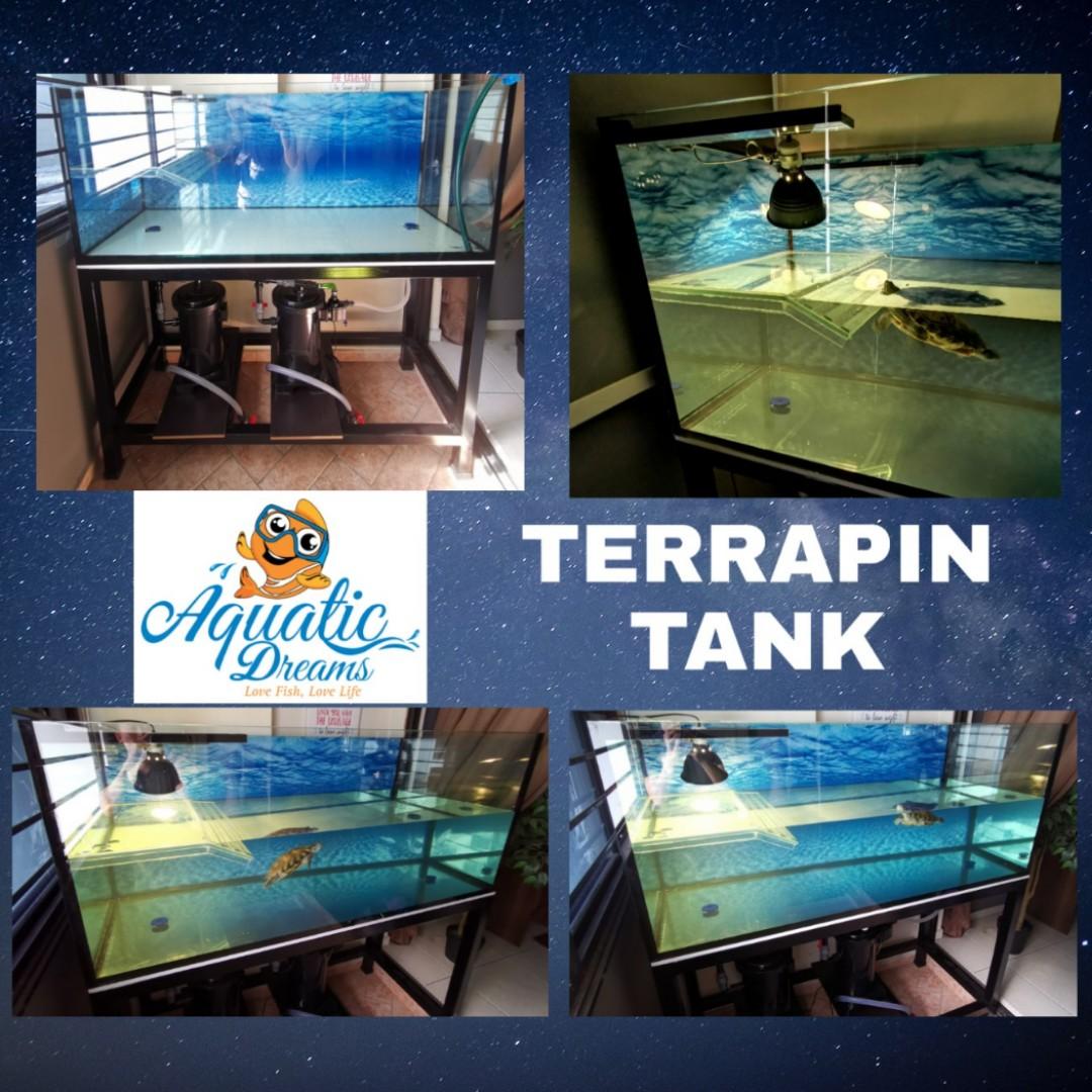 Custom Terrapin Tank With Basking Ramp, Pet Supplies, Homes & Other Pet ...