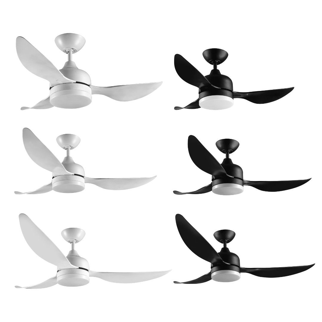 Ceiling Fan With Light Gold Coast | Shelly Lighting