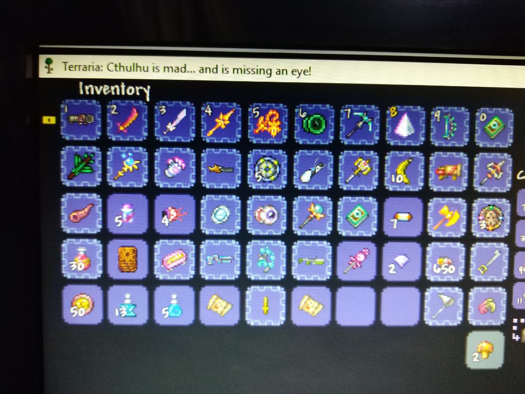 TERRARIA ITEMSSS!, Video Gaming, Gaming Accessories, Game Gift Cards ...