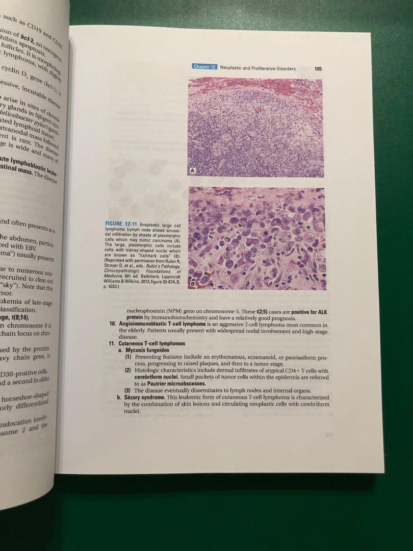 BRS Pathology 5th Edition, Hobbies & Toys, Books & Magazines, Textbooks ...