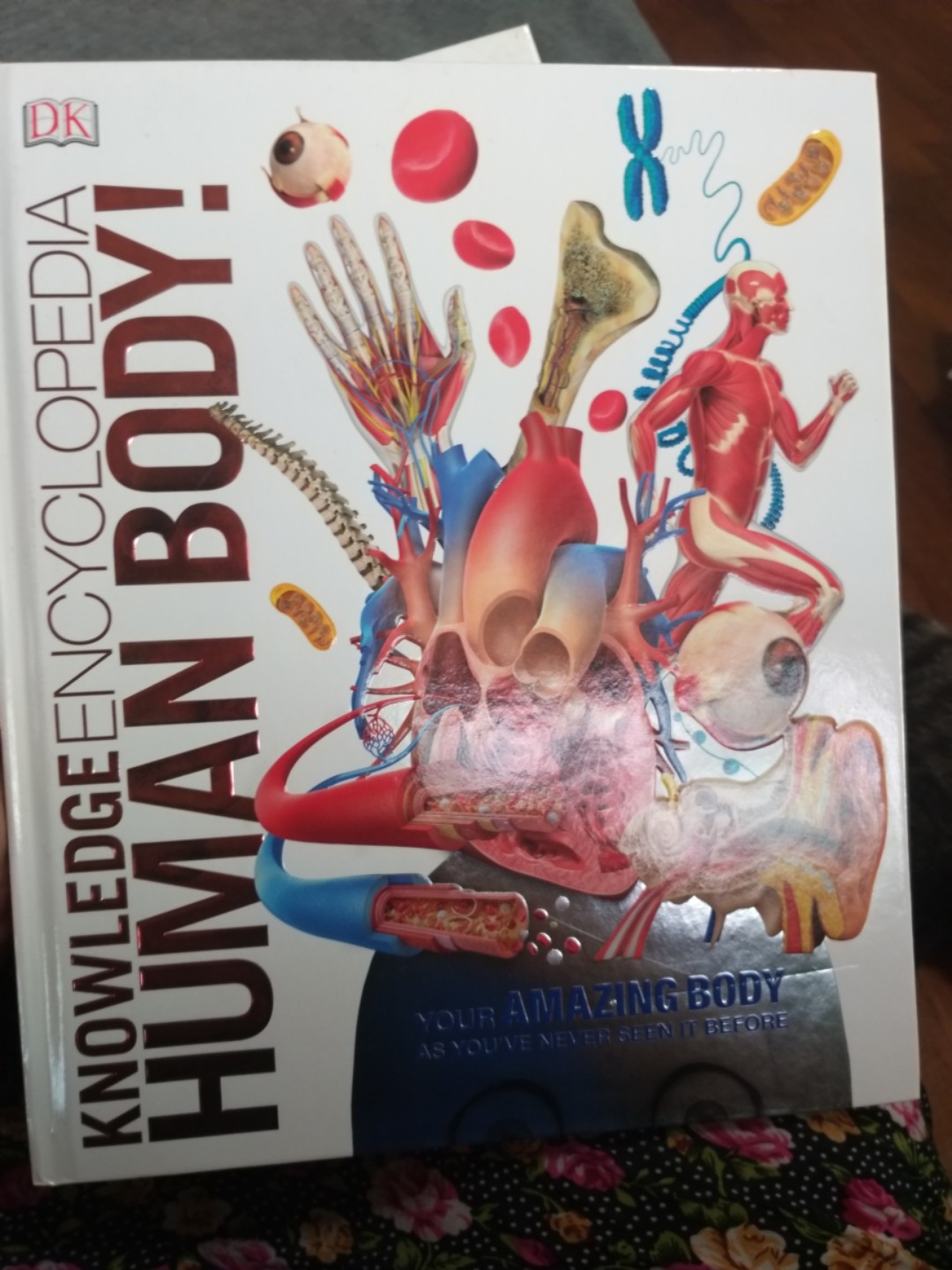 Knowledge encyclopedia human body, Hobbies & Toys, Books & Magazines ...