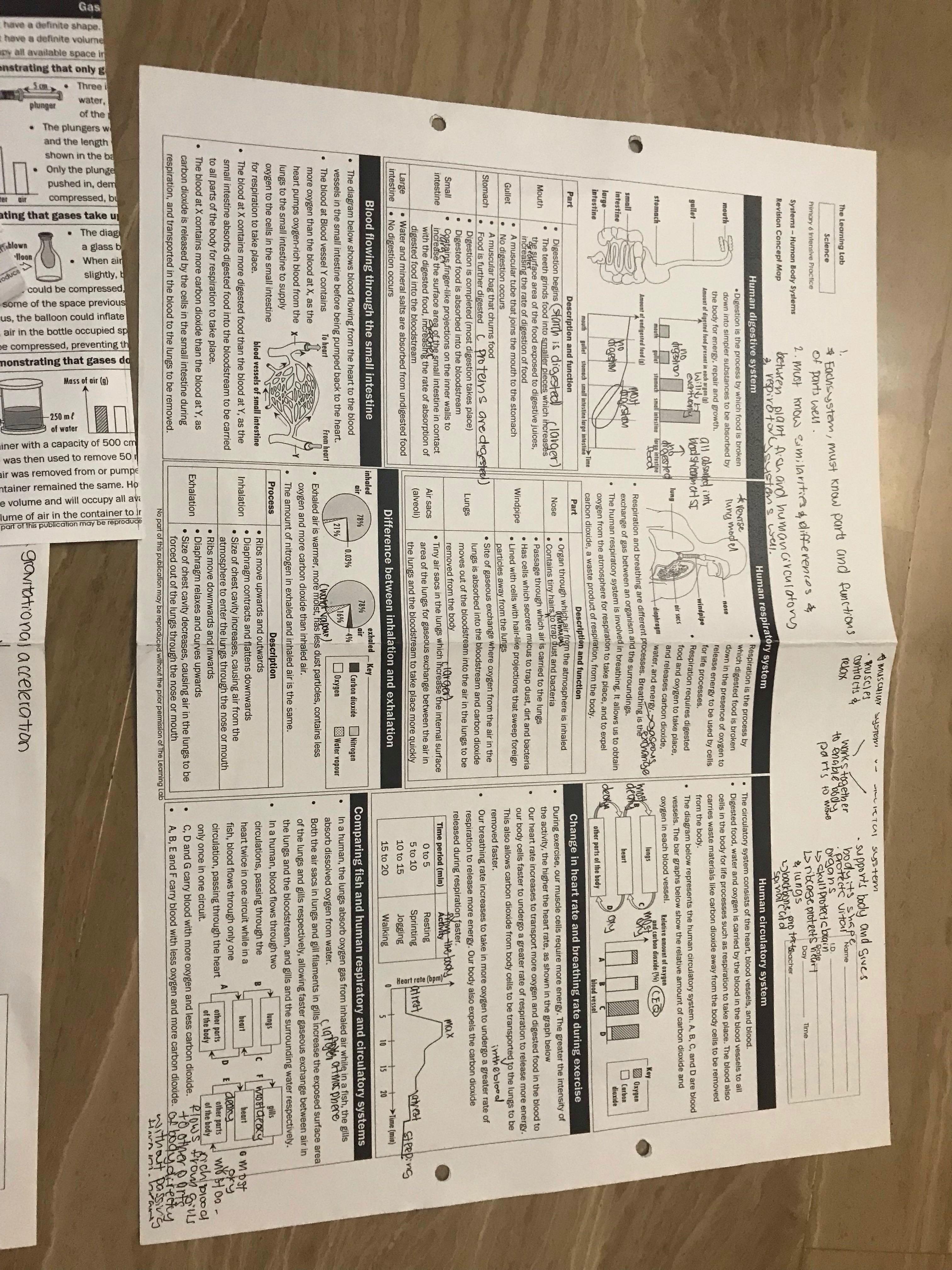 PSLE The Learning Lab notes, Hobbies & Toys, Books & Magazines ...