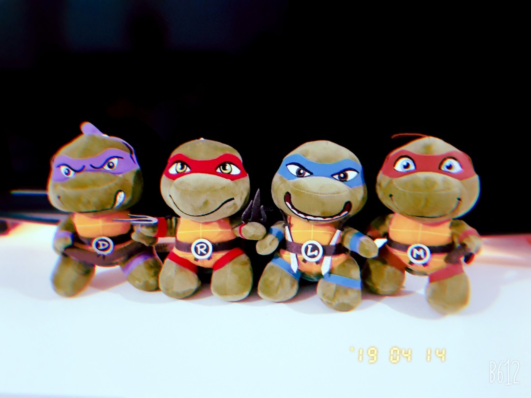 Ninja turtle, Hobbies & Toys, Toys & Games on Carousell