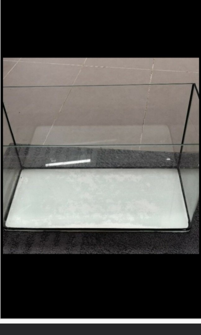 Curved Edge Fish Tank (1.5ft), Pet Supplies, Homes & Other Pet ...