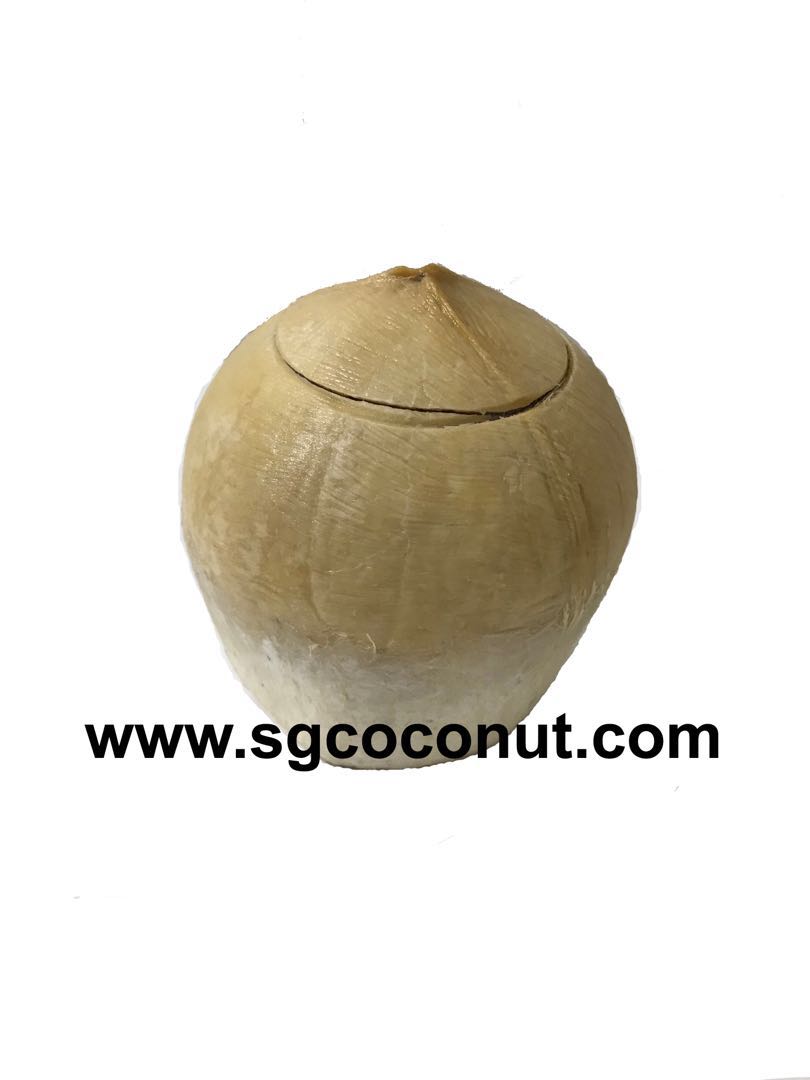Young Thai Coconut 500g x 12, Food & Drinks, Packaged & Instant Food on ...