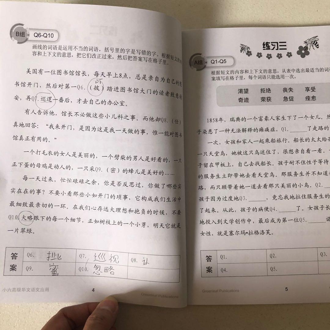 Higher Chinese Cloze Passage for Primary 6, Hobbies & Toys, Books ...