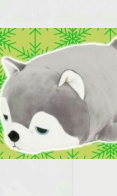 Husky mashrmallow bolster plush, Hobbies & Toys, Toys & Games on Carousell