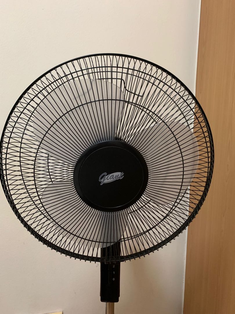 Giant Fan, Furniture & Home Living, Lighting & Fans, Fans on Carousell