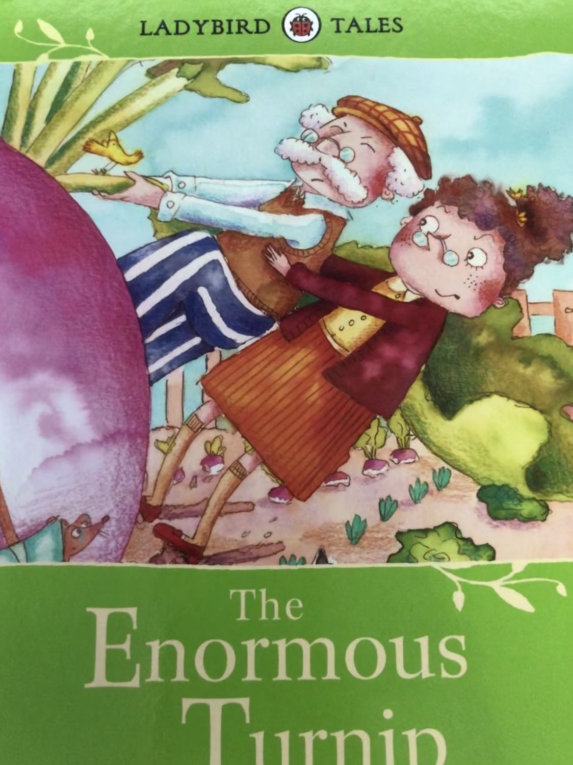 lady bird book, Hobbies & Toys, Books & Magazines, Children's Books on ...