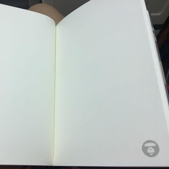 A bathing ape Aape x Pepsi 厚筆記簿 限量版, 興趣及遊戲, 旅行, 旅遊 - 旅行必需品及用品 - Carousell