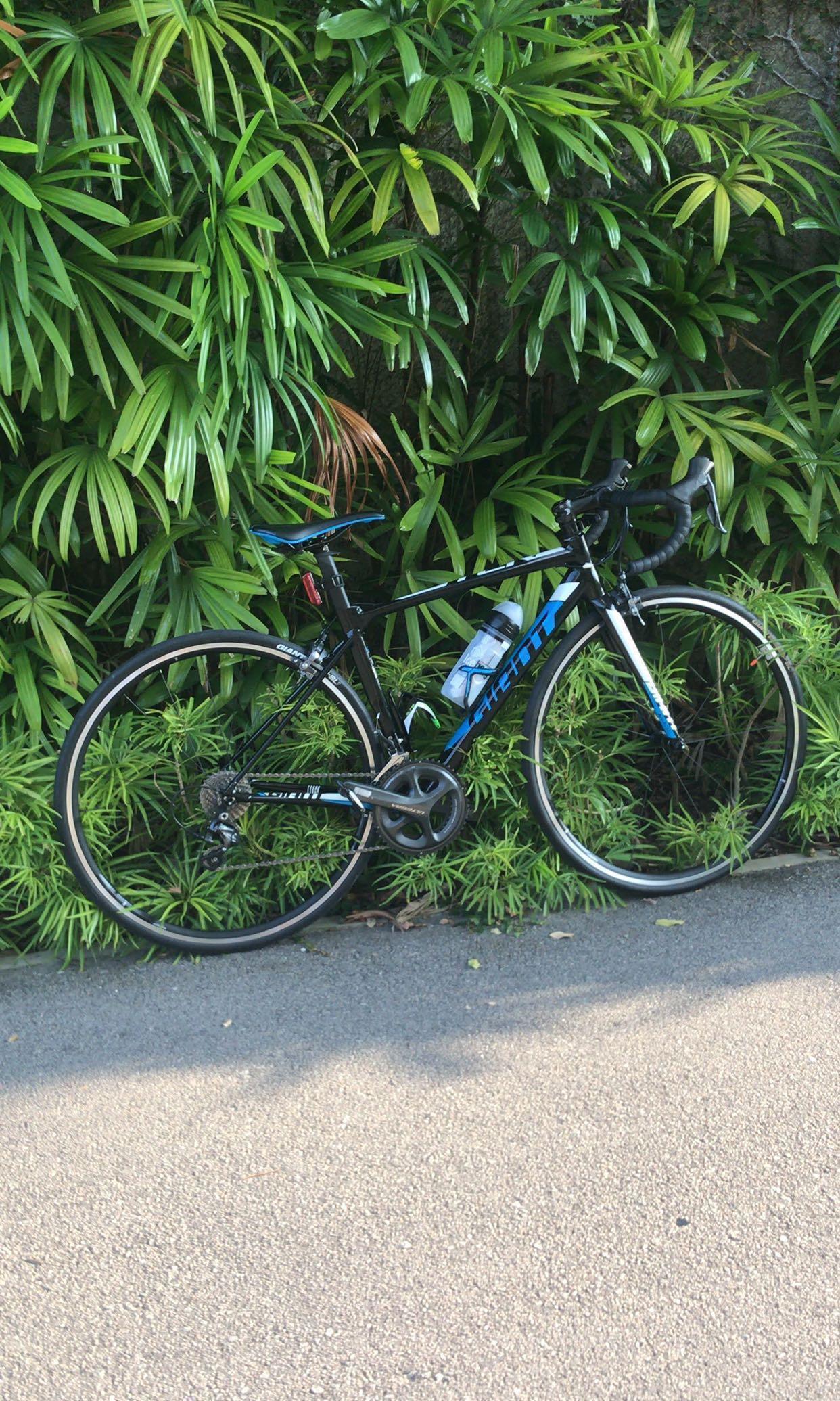 Upgraded Giant Tcr Slr 1, Sports Equipment, Bicycles & Parts, Bicycles ...