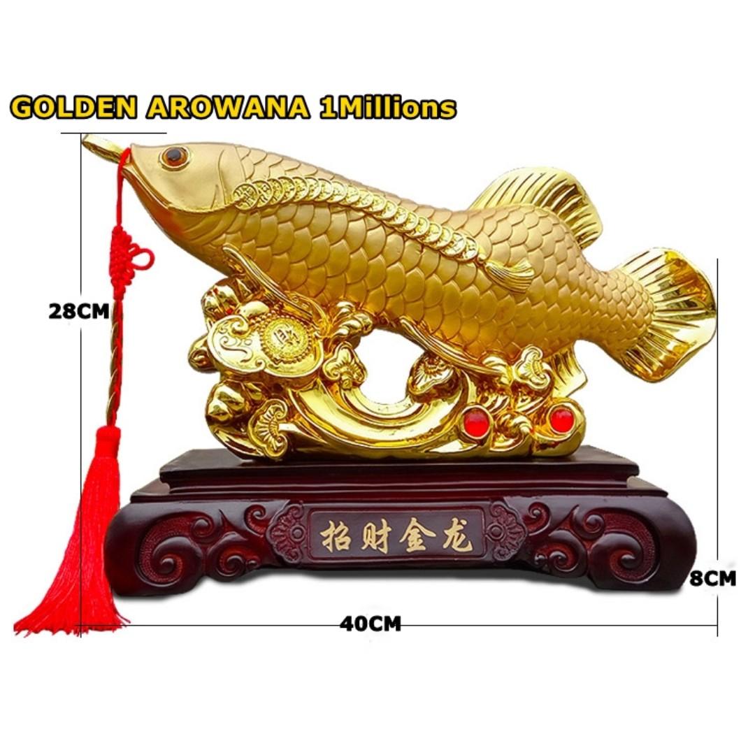 Luck Wealth Prosperity Feng Shui Arowana Gold Dragon Fish Display ...