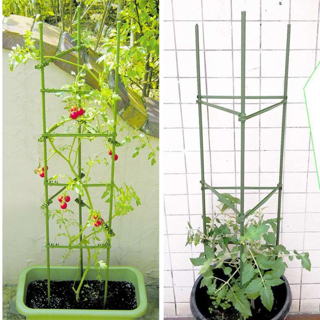 Plant Creeper Climber Trellis Support (120cm Tall), Gardening ...