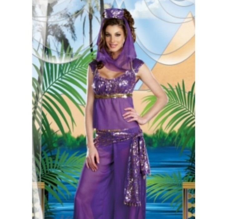 New Plus Size Aladdin Costume, Women's Fashion, Dresses & Sets ...
