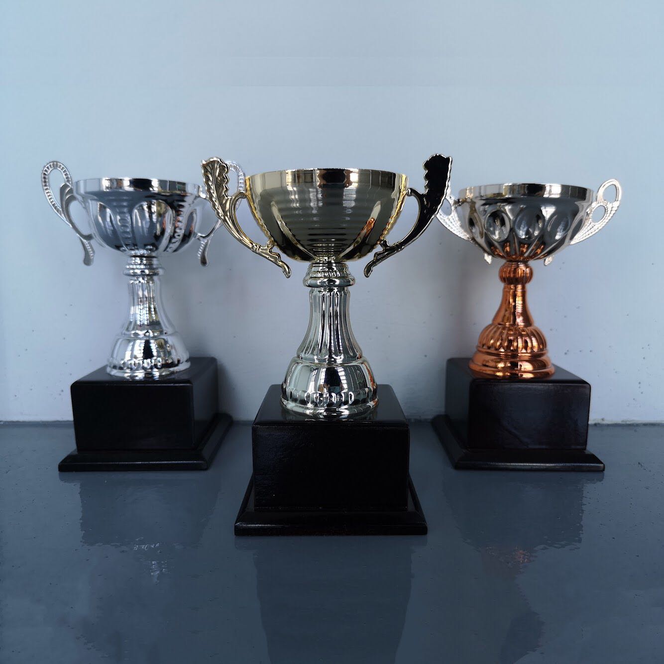 Champion Trophy, Award, Medal, Plaque, Sports Equipment, Sports & Games ...