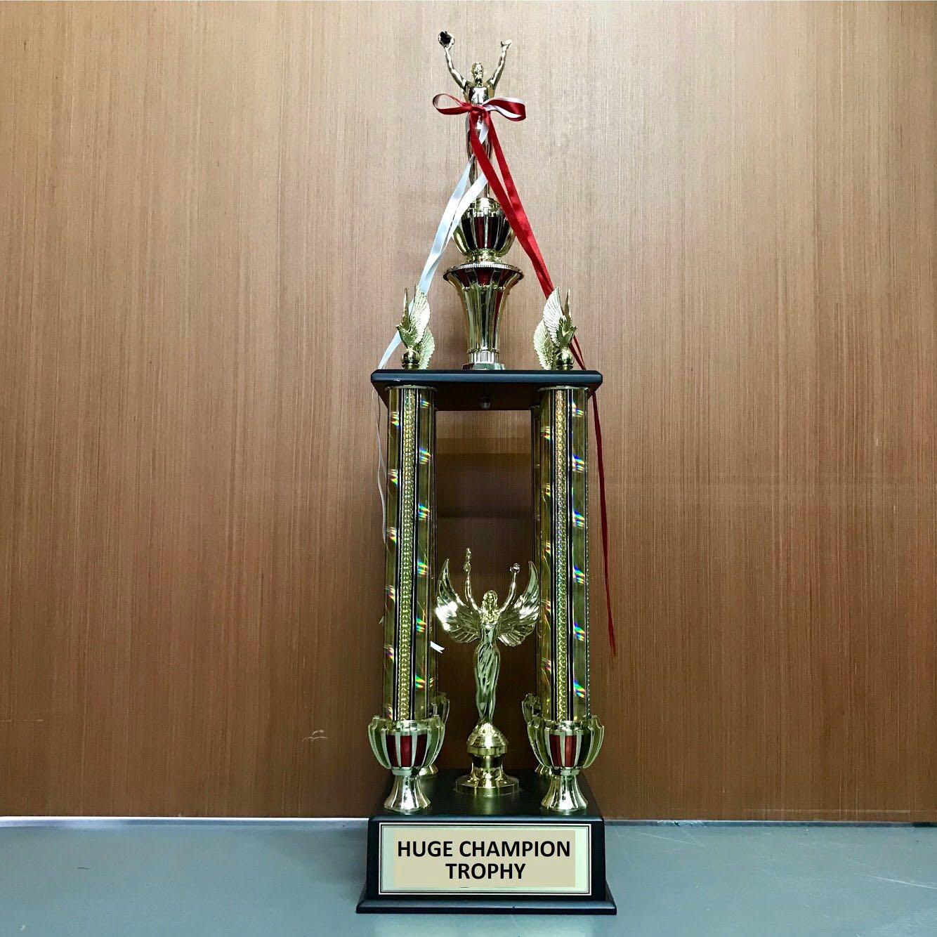 Champion Trophy, Award, Medal, Plaque, Sports Equipment, Sports & Games ...