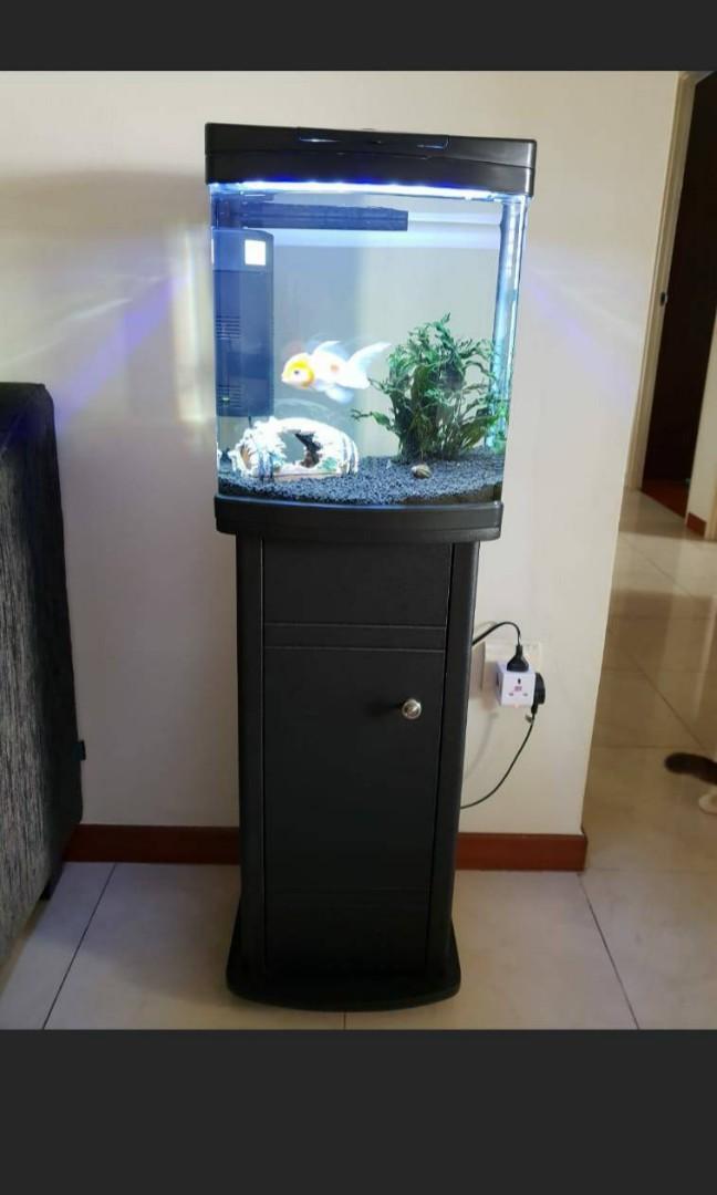 Fish Tank With Stand, Pet Supplies, Homes & Other Pet Accessories on ...