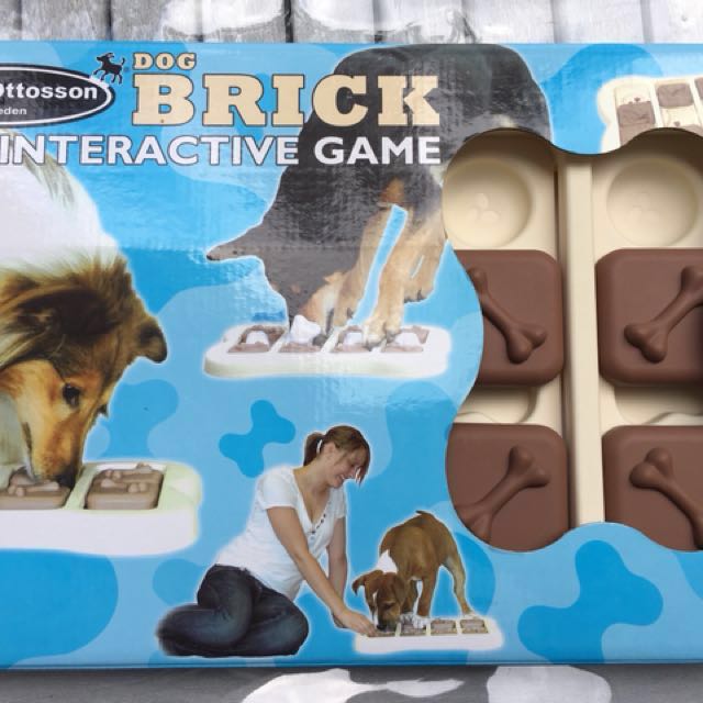 DOG BRICK FUN INTERACTIVE GAME, Pet Supplies, Homes & Other Pet ...