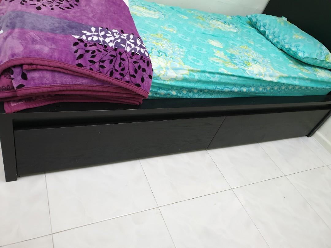 Single Bed with Spring Matress, Furniture & Home Living, Furniture, Bed ...