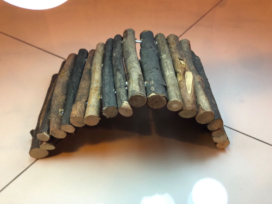 Hamster bendy bridge, Pet Supplies, Homes & Other Pet Accessories on ...