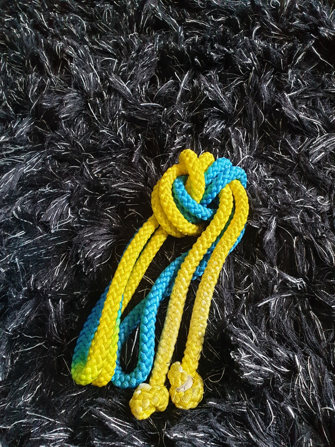 Sasaki RG rope, Sports Equipment, Exercise & Fitness, Toning ...