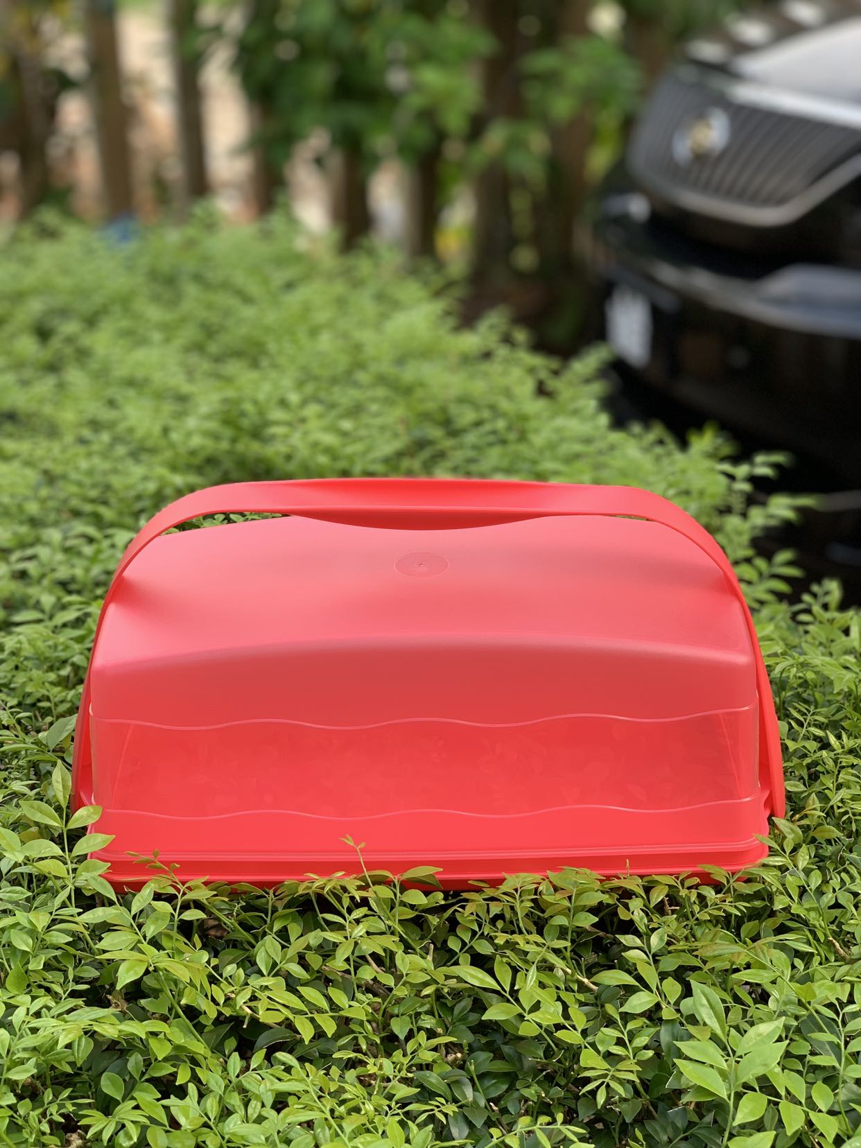 Tupperware Delightful Carrier 4L, Furniture & Home Living, Kitchenware ...