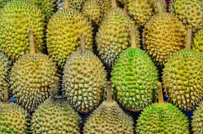 FREE Flow Durian 1-Day Tour Batam Indonesia, Food & Drinks, Local Eats ...