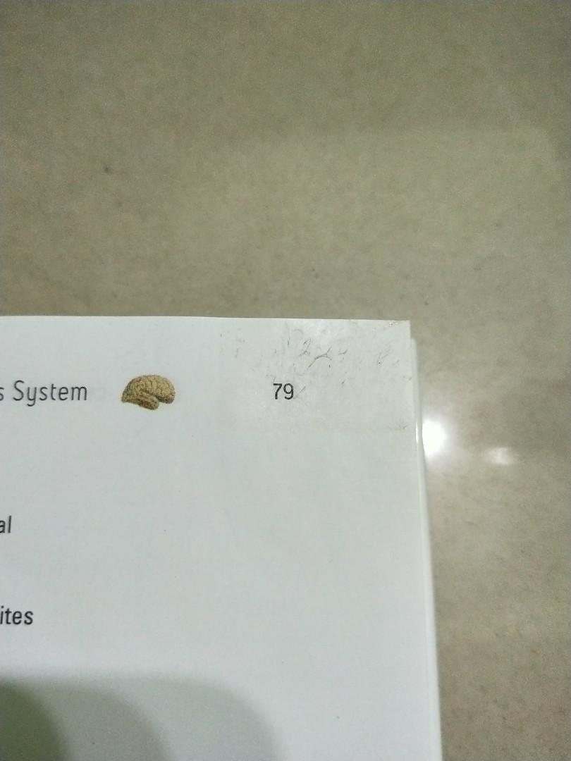 An Introduction to Brain and Behavior 5th Edition by Bryan Kolb, Ian ...